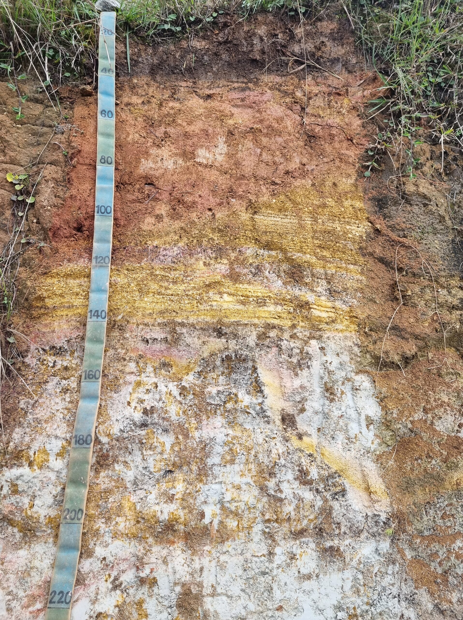 Grupo de Pesquisa em Pedologia-UFPR