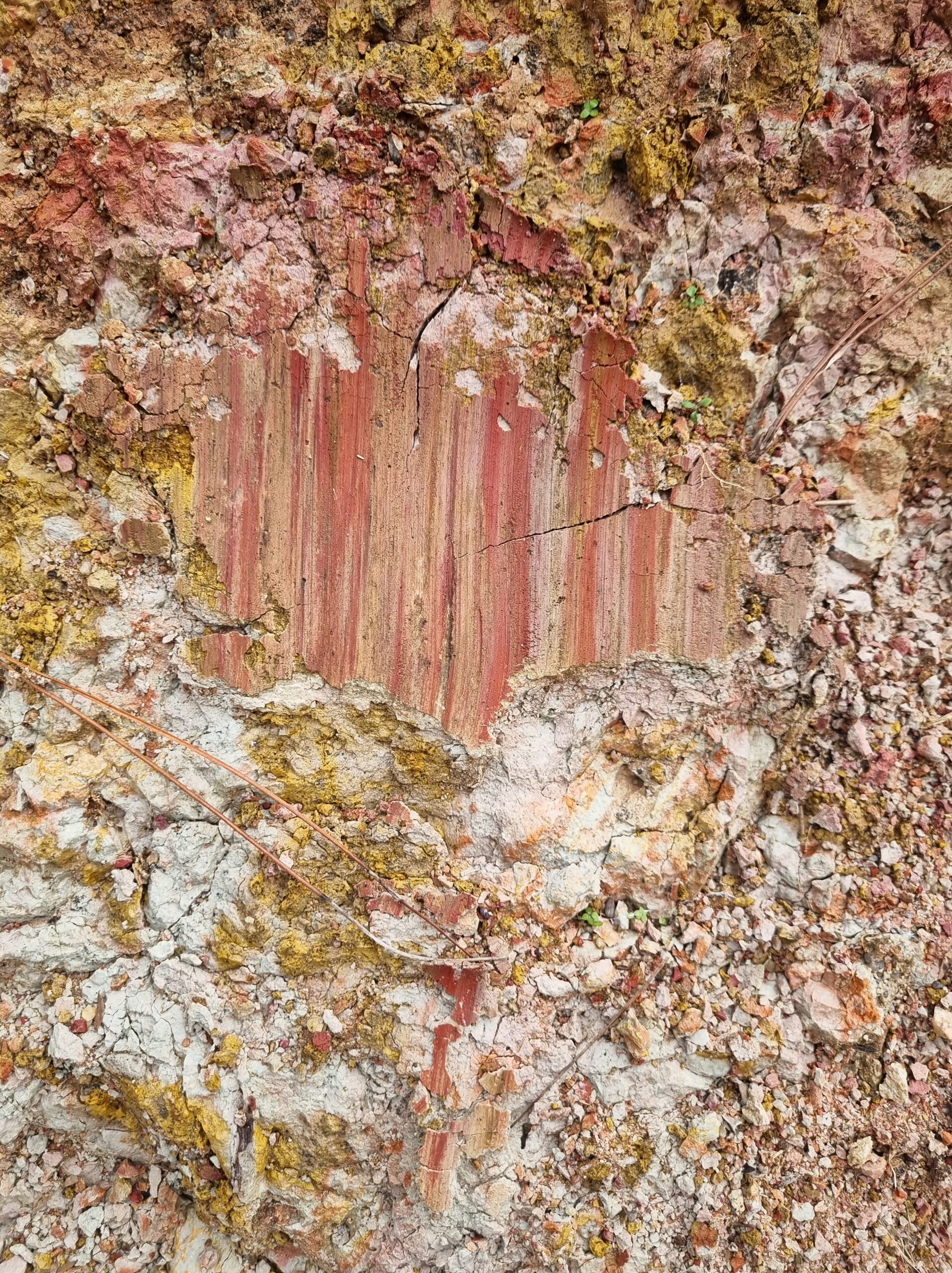 Grupo de Pesquisa em Pedologia-UFPR